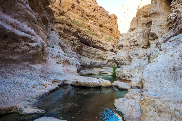 Wadi Shab: A Complete Guide to Oman's Hidden Paradise